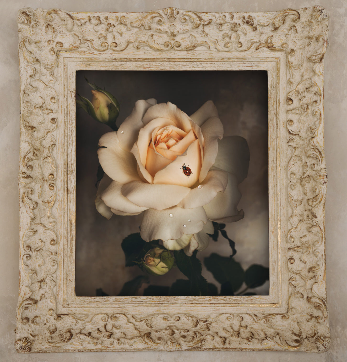 An American in Provence by Jamie Beck • New York Times Bestseller